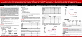 Exploratory analyses of efficacy and safety of pemetrexed (Pem) plus ...