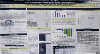 A first-in-human phase 1 trial of NX-2127, a first-in-class oral BTK ...