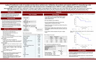 Phase II study of neoadjuvant dose-dense methotrexate, vinblastine ...
