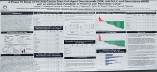 A phase 1b study of the anti-cancer stem cell agent demcizumab (DEM ...
