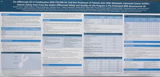 Ziv-aflibercept (Z) in combination with FOLFIRI for second-line ...