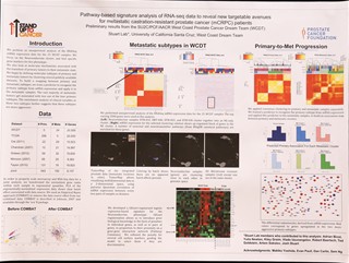 The molecular and pathway characterization of patients with metastatic ...