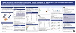 Safety and efficacy of pomalidomide (POM), dexamethasone (DEX), and ...