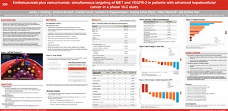 The DASH Study: A phase 1b study of dalantercept plus sorafenib in ...