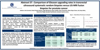 Comparative effectiveness of a patient-centered prostate biopsy report ...