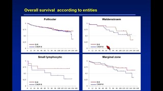 Cost-effectiveness analysis of bendamustine plus rituximab versus CHOP ...