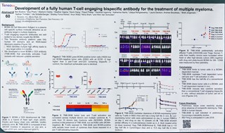 AFM26 is a novel, highly potent BCMA/CD16A-directed bispecific antibody ...