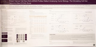 Breast cancer in young women: A single center study. - ASCO