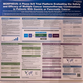 MORPHEUS: A phase Ib/II multi-trial platform evaluating the safety and ...