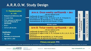 Once weekly selinexor, carfilzomib, and dexamethasone (SKd) in patients with relapsed/refractory ...