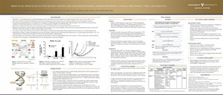 A phase 2 single-arm study of berzosertib in combination with ...