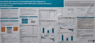 Pembrolizumab (pembro) plus olaparib in docetaxel-pretreated patients ...