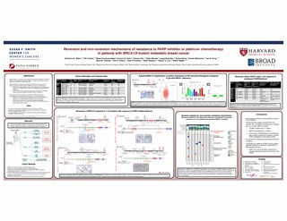 Randomized, double-blind, placebo-controlled phase II trial of low-dose ...