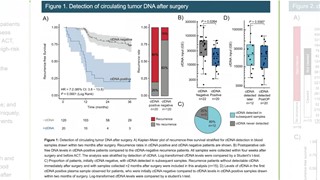 Circulating tumor DNA as a marker of recurrence risk in stage III colorectal cancer: The α ...