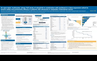 An open-label, multicenter, phase Ib/II study of rebastinib in combination with paclitaxel in a ...