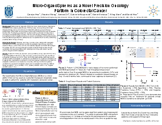 MicroOrganoSpheres as a clinically applicable precision oncology ...