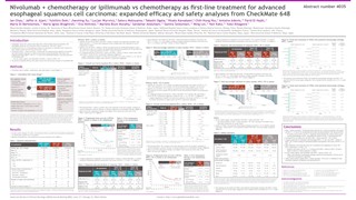 Nivolumab (NIVO) plus chemotherapy (chemo) or ipilimumab (IPI) vs chemo as first-line (1L ...