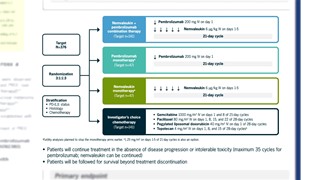 ROSELLA: A phase 3 study of relacorilant in combination with nab-paclitaxel versus investigator ...