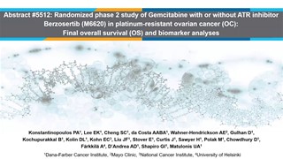 Overall survival data from a 3-arm, randomized, open-label, phase 2 study of relacorilant, a ...