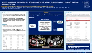 Single-fraction radiosurgery for the treatment of renal cell carcinoma ...