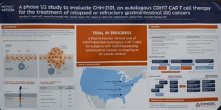 CEA expression patterns determine response and resistance to the CEA ...