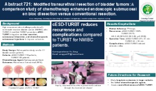Tumour factors and the variation in non-muscle invasive bladder cancer ...