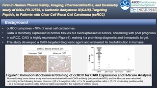 Vincristine (VCR) pharmacokinetics (PK) in infants dosed using a body ...