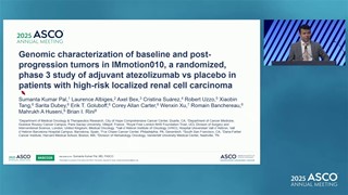 Sequence and Decision-Making in the Treatment of Renal Cell Carcinoma ...